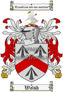 Walsh (Ireland) Coat of Arms (Family Crest) PNG Instant Download
