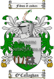 O'Callaghan (Ireland) Coat of Arms (Family Crest) Image Download