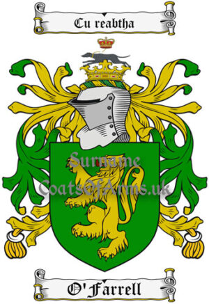 Surname Coats of Arms (Family Crests) & Surname History Products