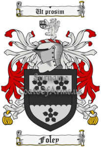 Foley (Irish) Coat of Arms (Family Crest) Instant Image Download